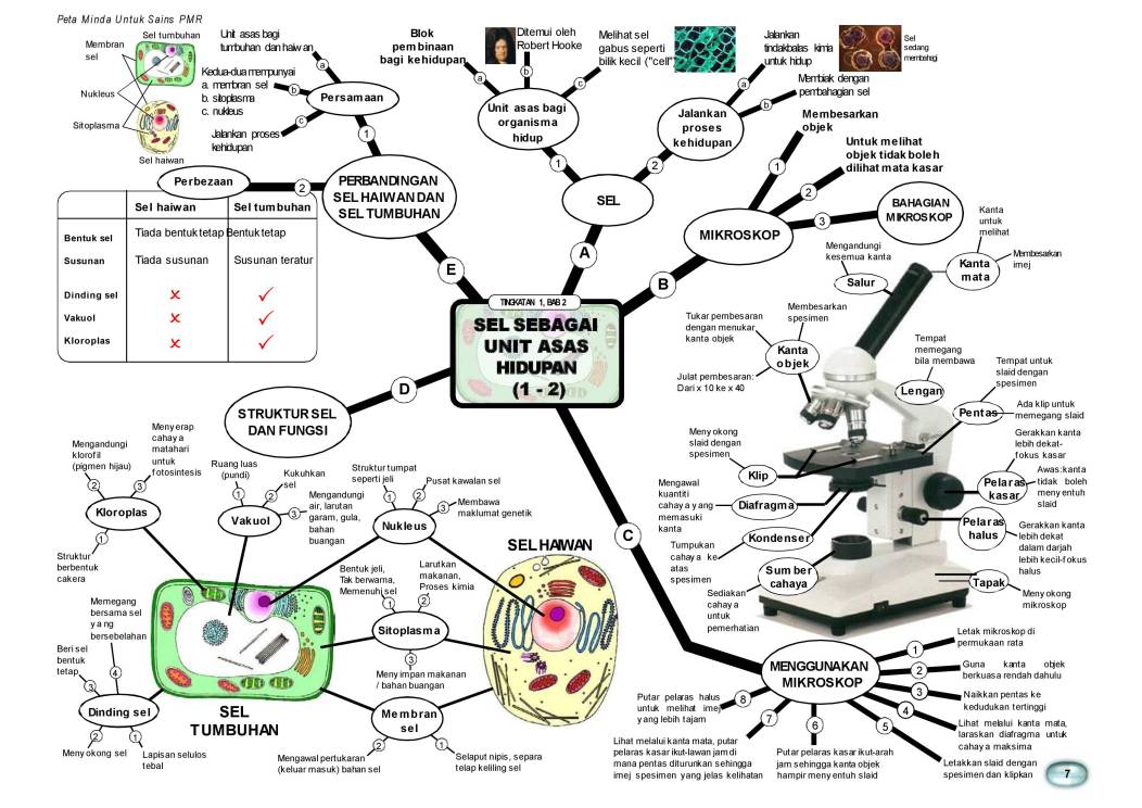Notes On Form 1- SAINS- BAB 1-7 - Notes - MyPrivateTutor Malaysia