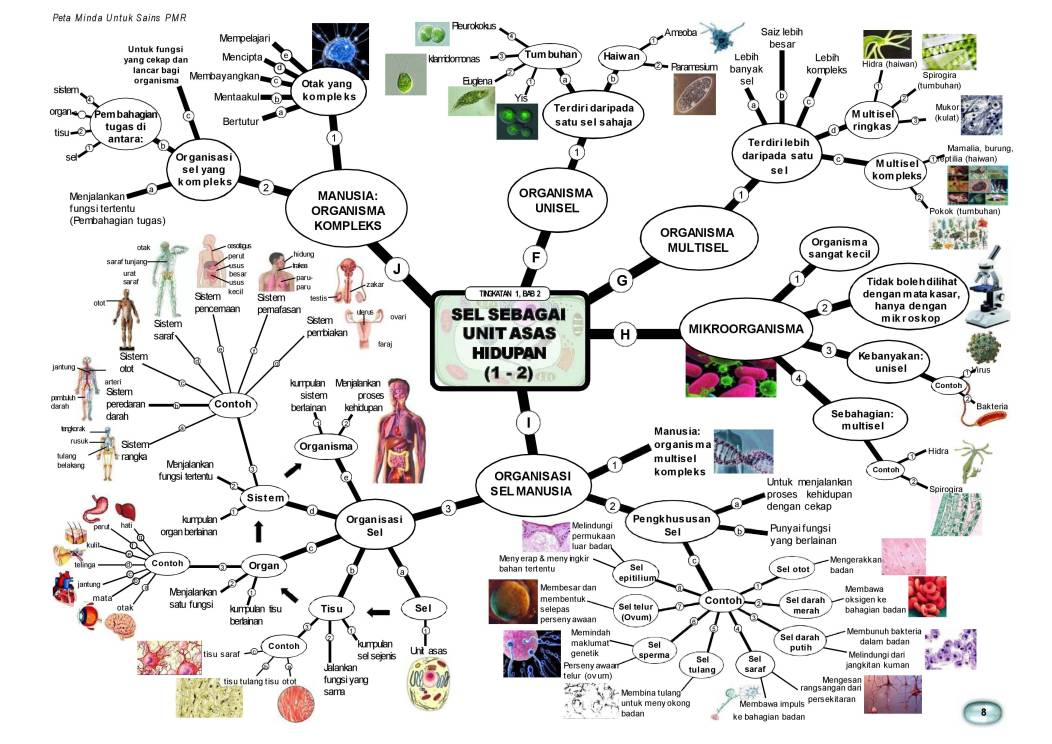Notes On Form 1- SAINS- BAB 1-7 - Notes - MyPrivateTutor Malaysia