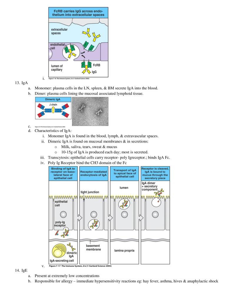 Notes On Antigen - Notes - MyPrivateTutor Malaysia