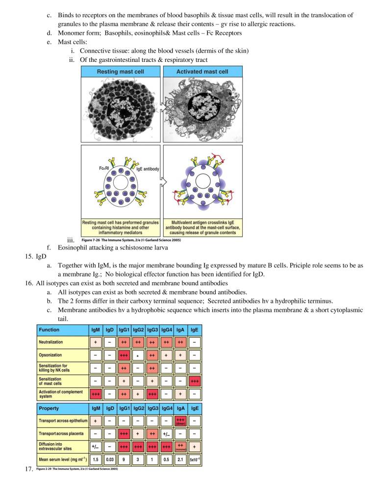 Notes On Antigen - Notes - MyPrivateTutor Malaysia