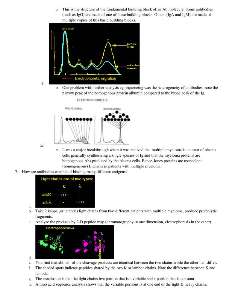 Notes On Antigen - Notes - MyPrivateTutor Malaysia