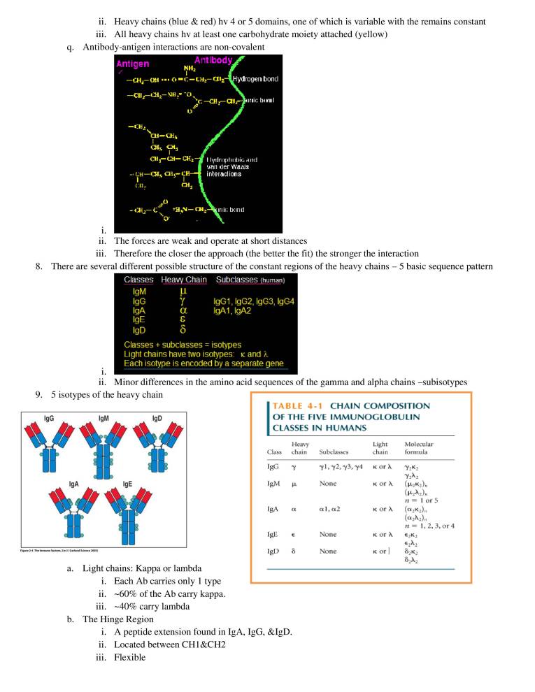 Notes On Antigen - Notes - MyPrivateTutor Malaysia