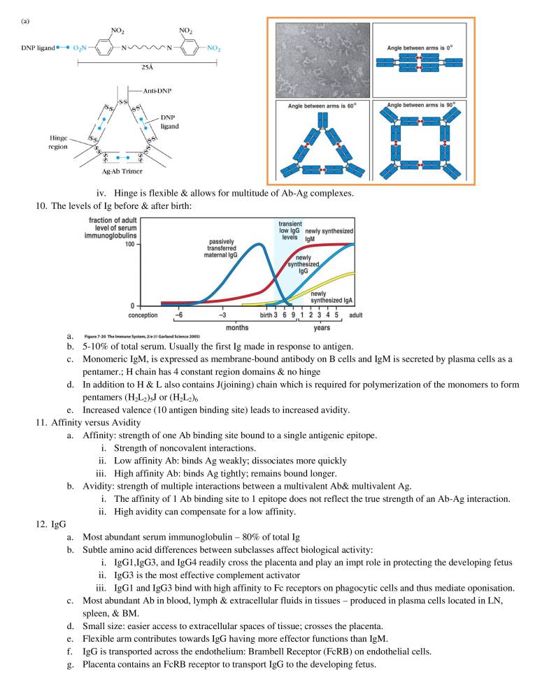 Notes On Antigen - Notes - MyPrivateTutor Malaysia