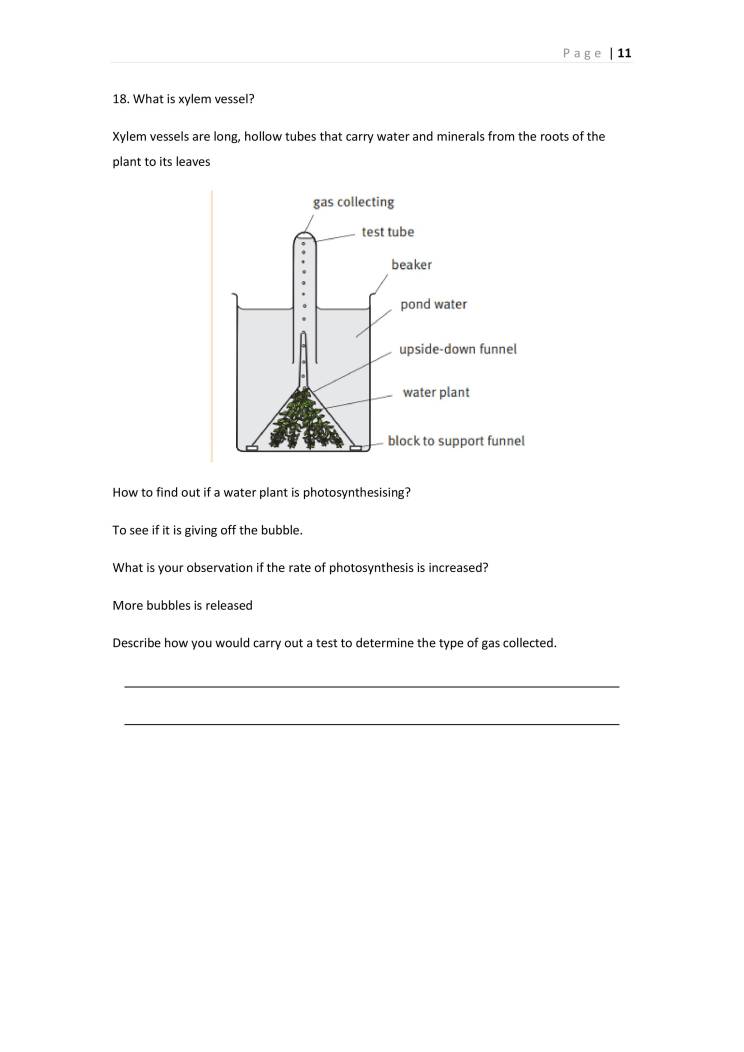 Checkpoint Science Notes - Notes - MyPrivateTutor Malaysia