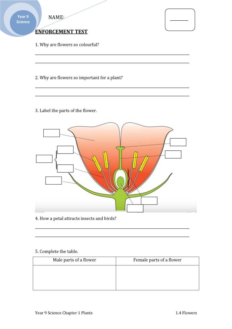 Notes On Flowers Worksheet - Notes - MyPrivateTutor Malaysia