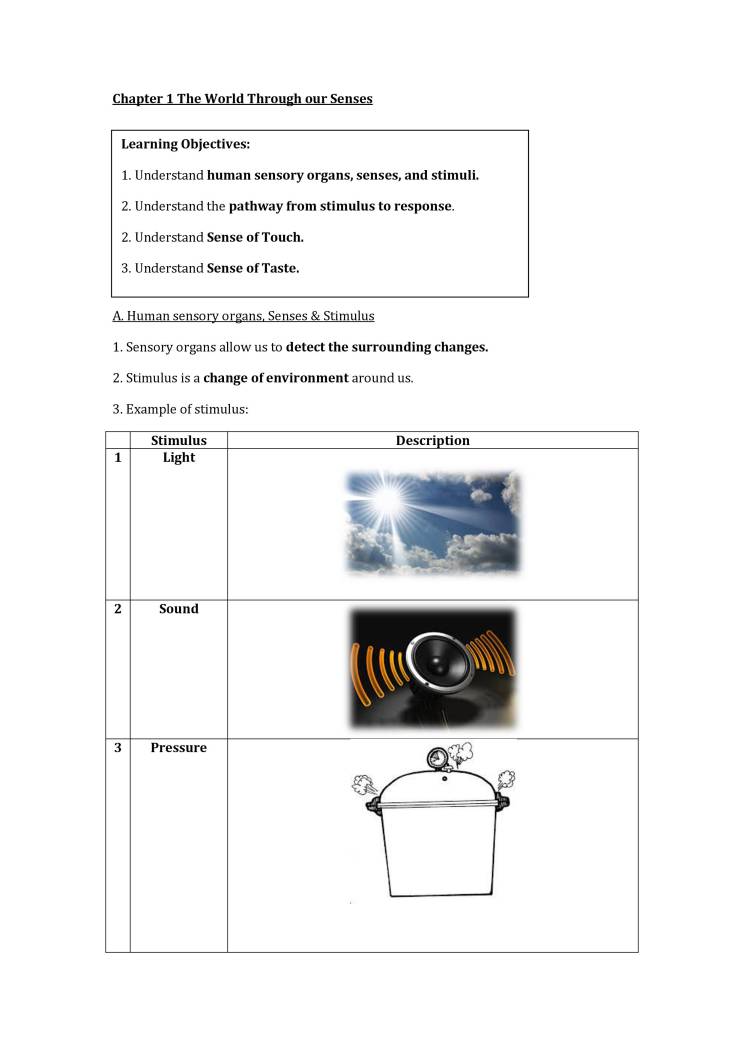 PT3 Science - Notes - MyPrivateTutor Malaysia