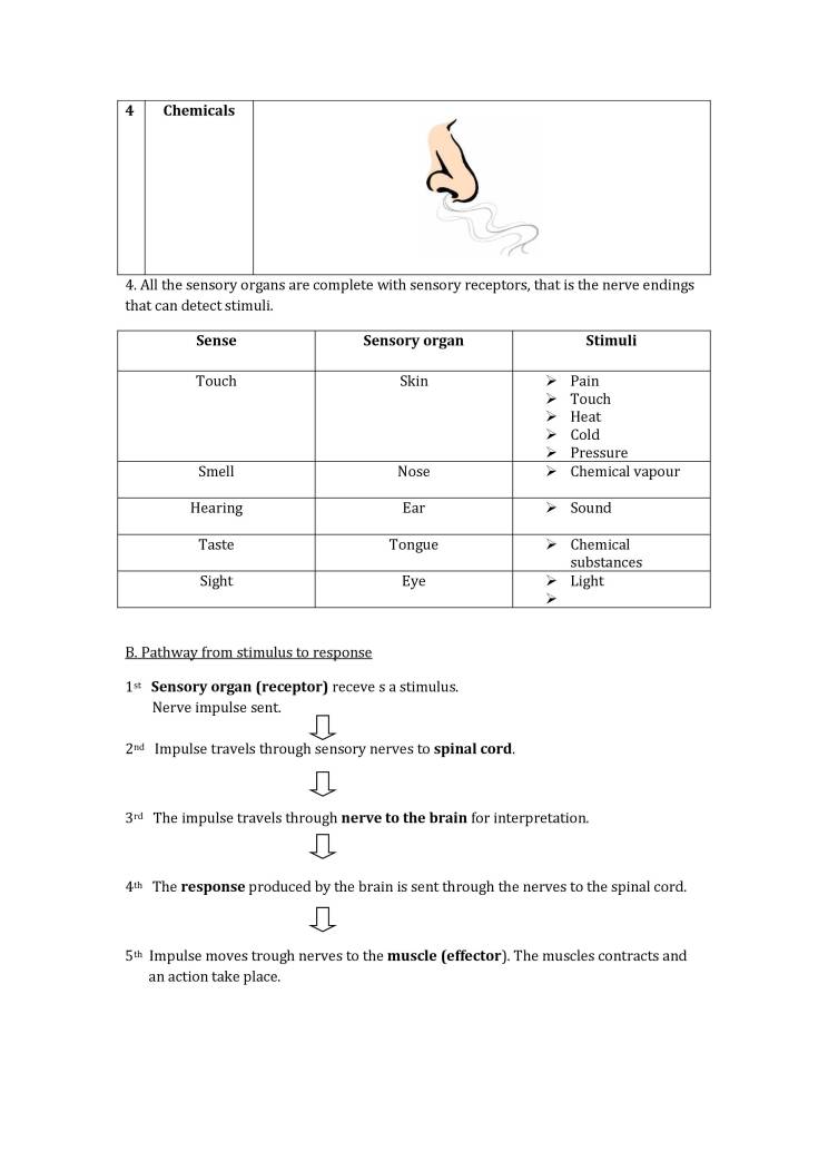 PT3 Science - Notes - MyPrivateTutor Malaysia