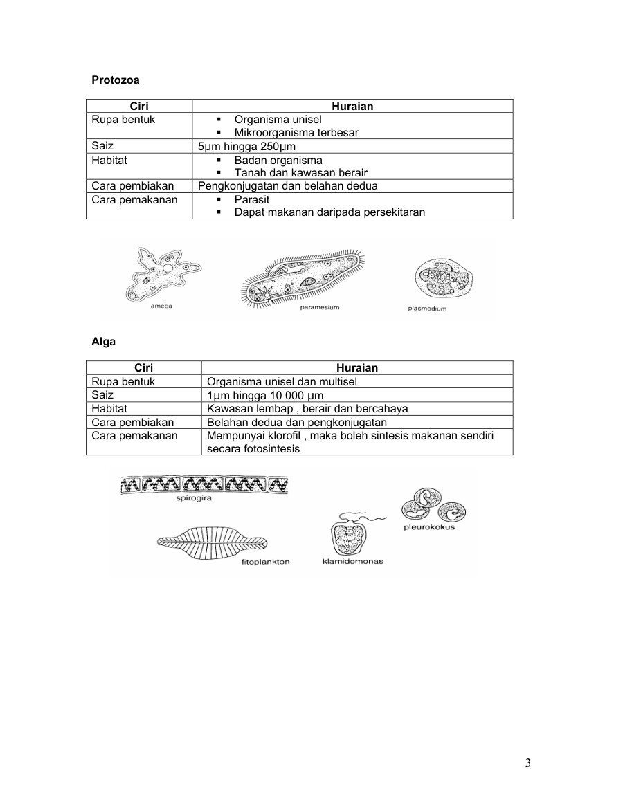 Notes On Nota SAINS FORM - Notes - MyPrivateTutor Malaysia