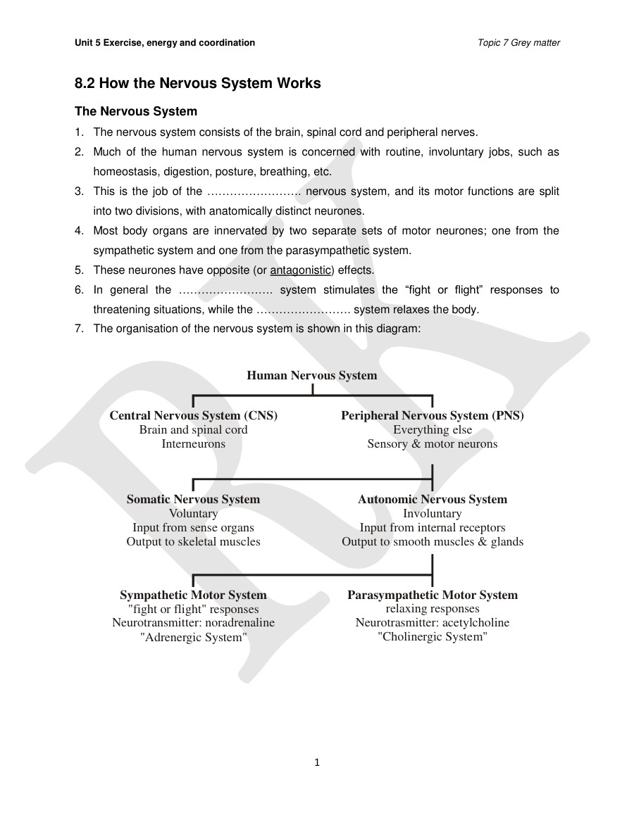 Notes On Nervous System - Notes - MyPrivateTutor Malaysia