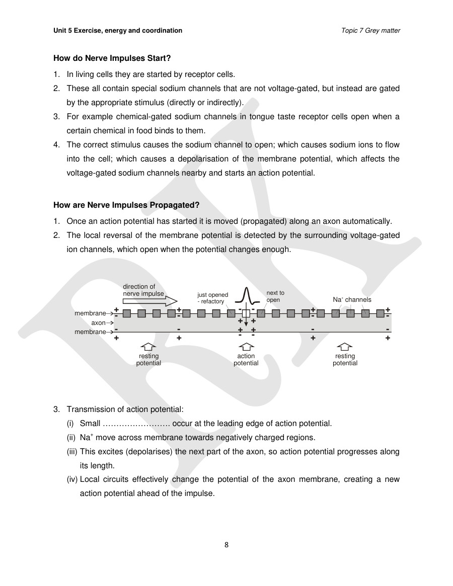 Notes On Nervous System - Notes - MyPrivateTutor Malaysia