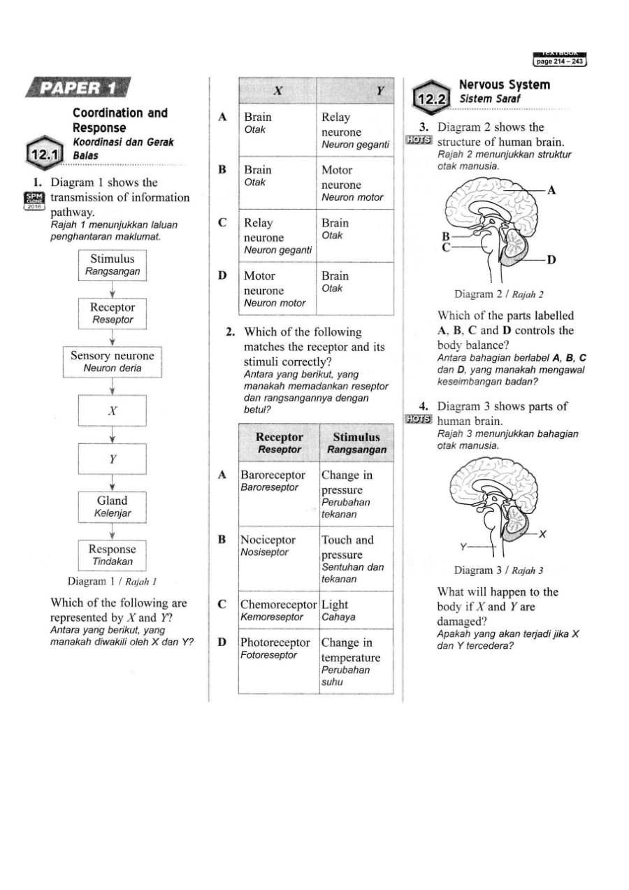 Note on Chapter 12 Coordination and response - Notes - MyPrivateTutor ...