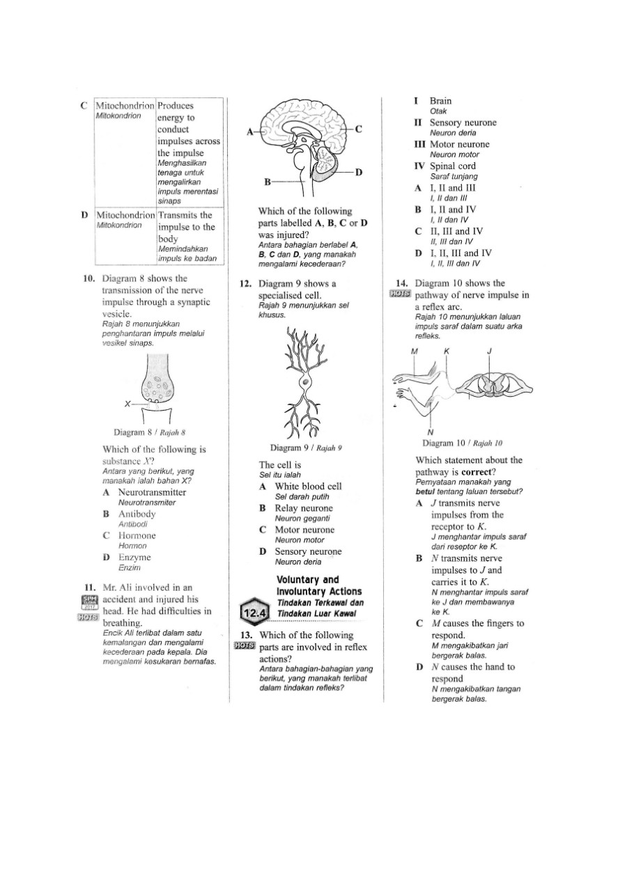 Note on Chapter 12 Coordination and response - Notes - MyPrivateTutor ...