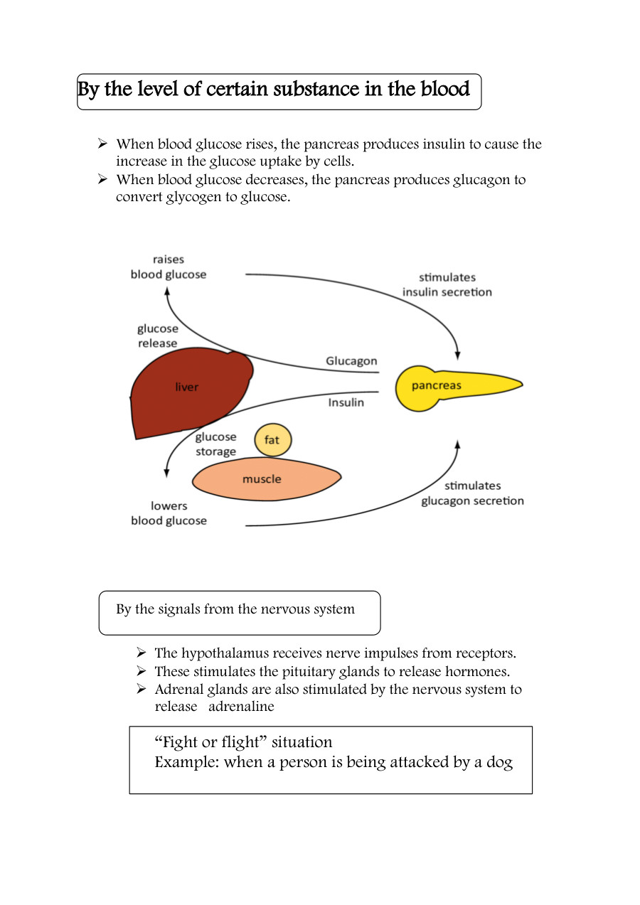 Note on Chapter 12 Coordination and response - Notes - MyPrivateTutor ...