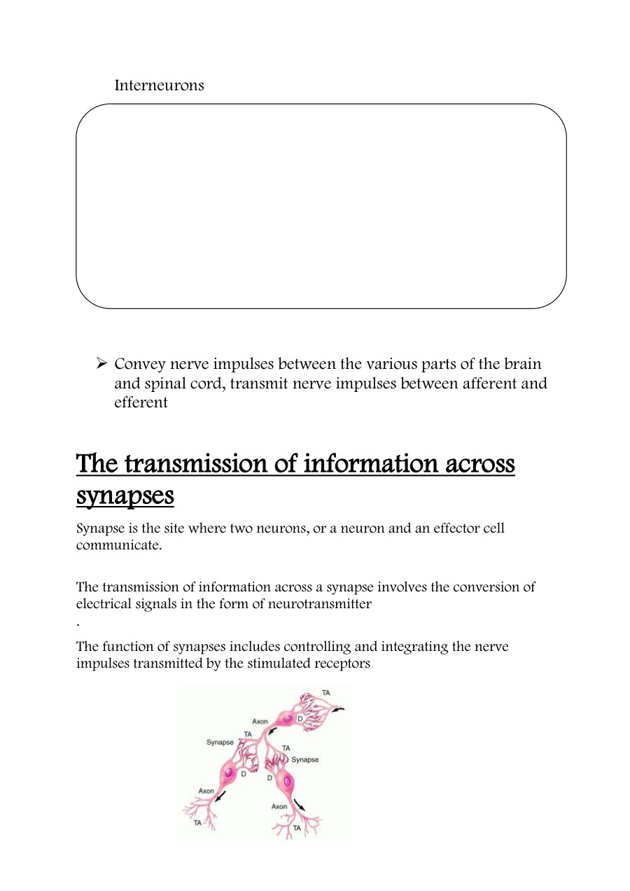 Note on Chapter 12 Coordination and response - Notes - MyPrivateTutor ...