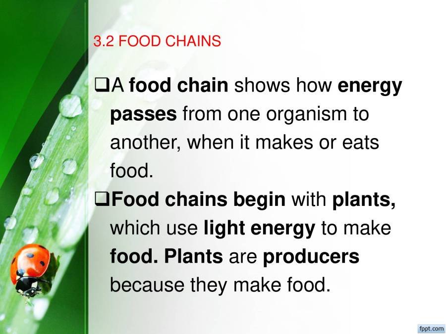 PPT On Cambridge Science Of Year 7 - PowerPoint Slides - MyPrivateTutor ...