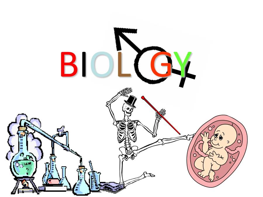 PPT On The Introduction To Biology - PowerPoint Slides - MyPrivateTutor ...