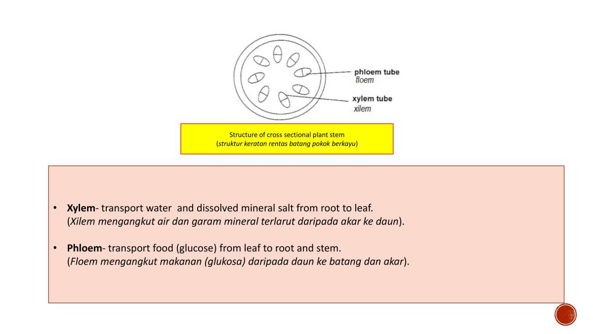 Science Form 3: Chapter 2 (Blood Transportation) - PowerPoint Slides ...
