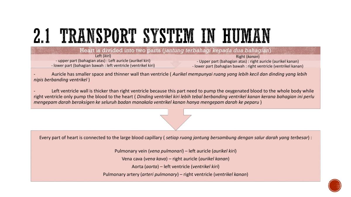 Science Form 3: Chapter 2 (Blood Transportation) - PowerPoint Slides ...