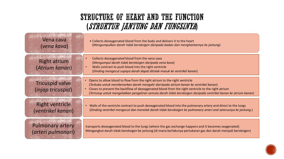 Science Form 3: Chapter 2 (Blood Transportation) - PowerPoint Slides ...