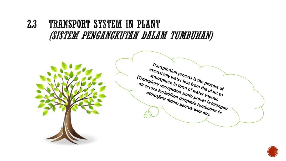 Science Form 3: Chapter 2 (Blood Transportation) - PowerPoint Slides ...
