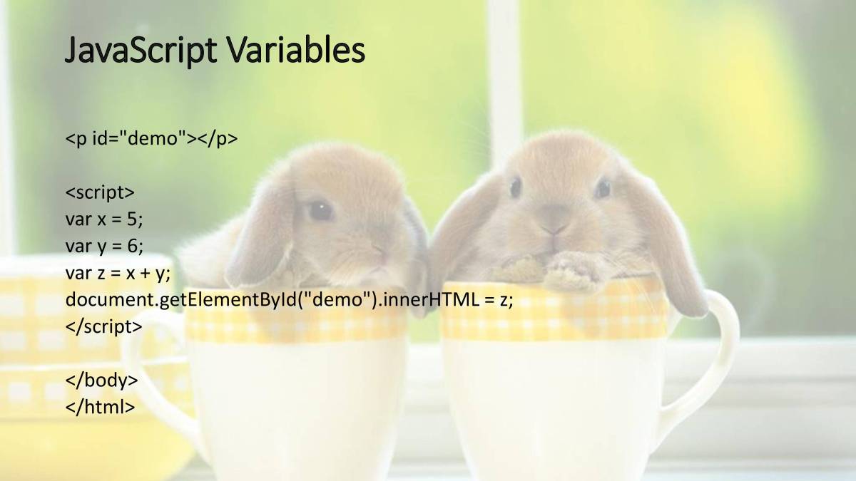 WEB Development - PowerPoint Slides - MyPrivateTutor Malaysia