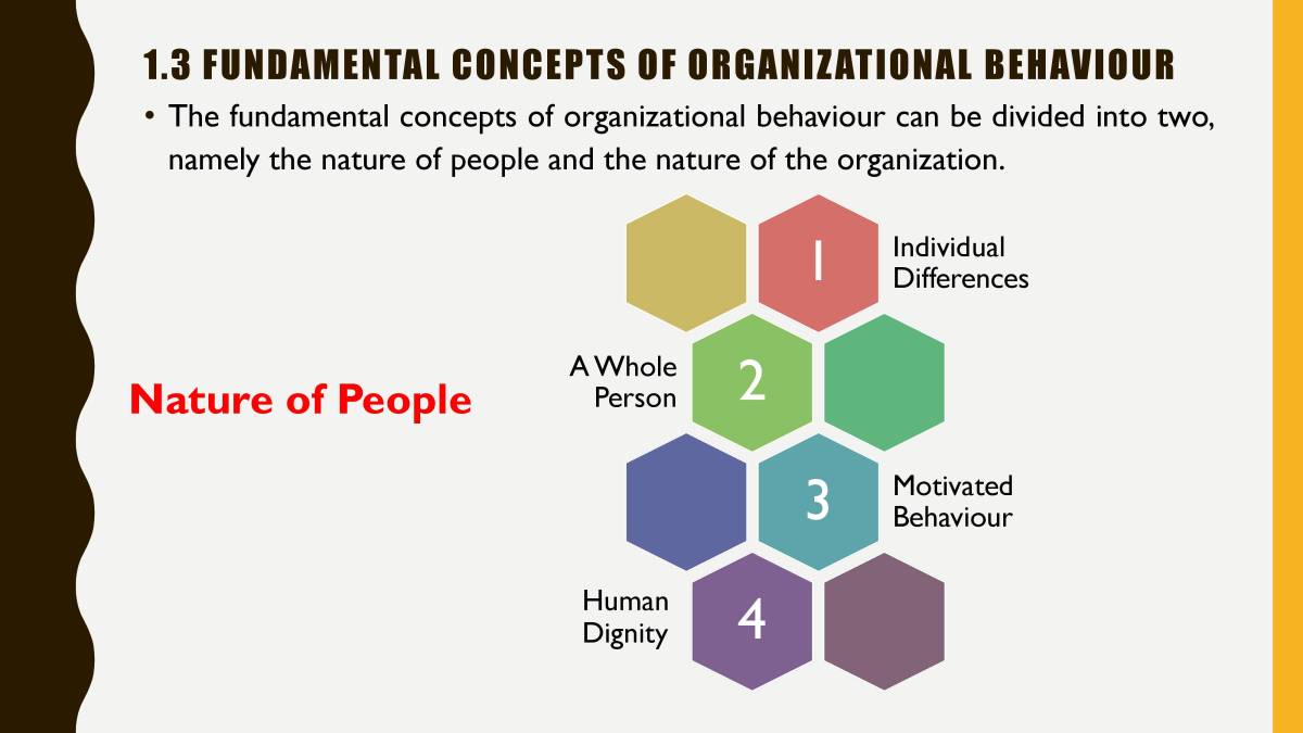 Introduction To Organizational Behaviour (Chapter 1) - PowerPoint ...