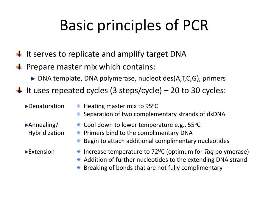 Presentation On Polymerase Chain Reaction - PowerPoint Slides ...