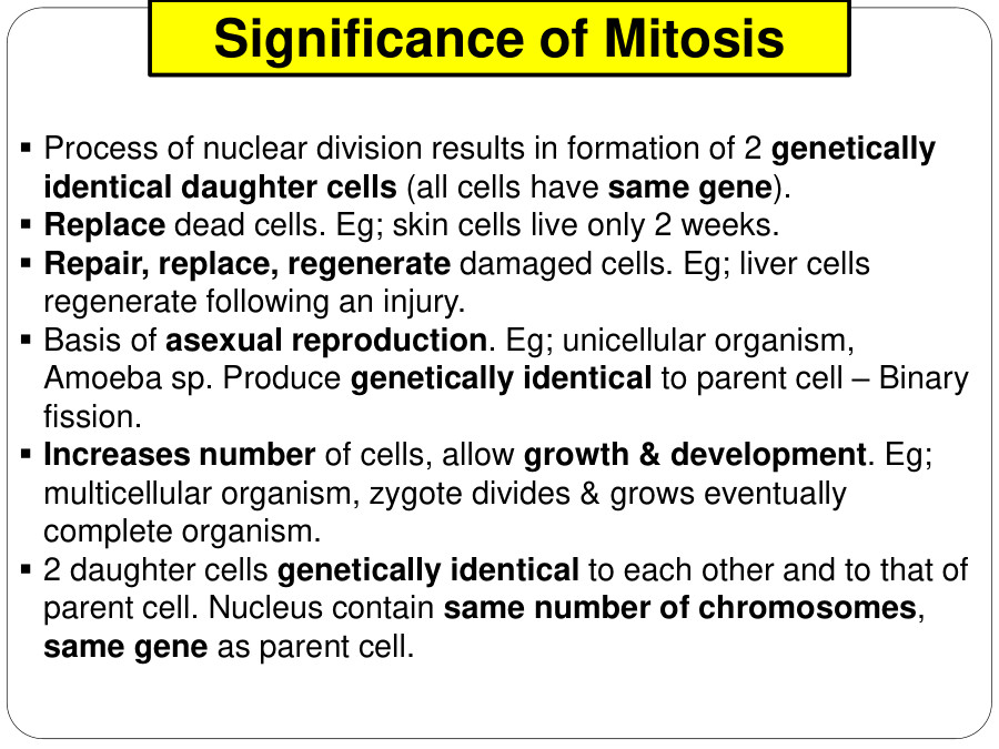 PPT On Form 4 Chapter 5 Cell Division - PowerPoint Slides - MyPrivateTutor Malaysia
