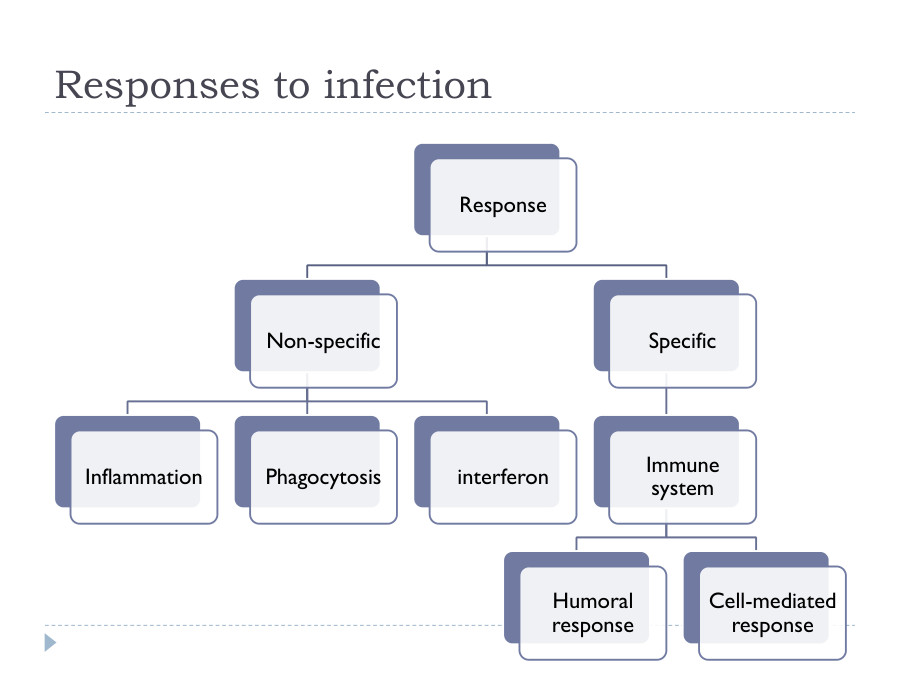 PPT On Responses To Infection - PowerPoint Slides - MyPrivateTutor Malaysia
